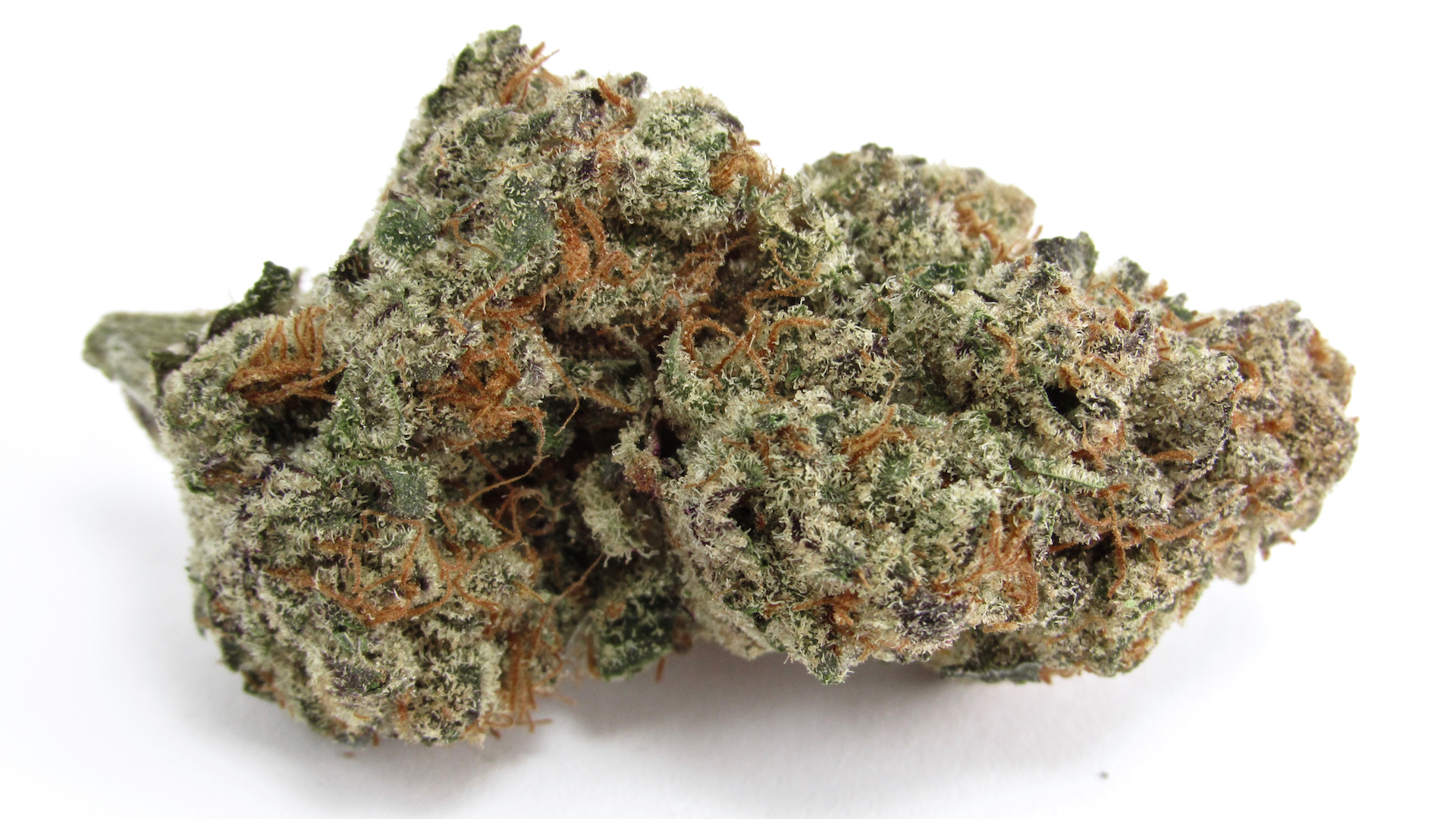 Horchata Weed Strain Information | Leafly